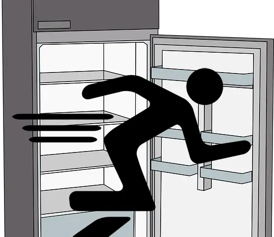 Is Your Refrigerator Running? Well then you better go fix it ...